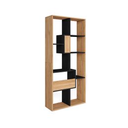 REGAL Bibliothek, Eiche und Schwarz, 67/31/162cm