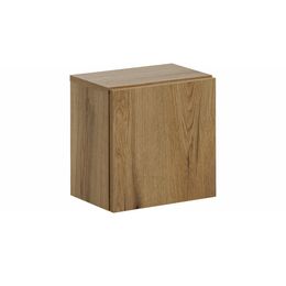 SCHRANK 1 T&uuml;r Holz