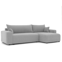 ECKSOFA mit Schlaffunktion und Bettkasten, Grau