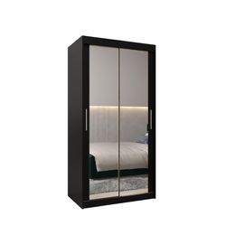SCHWEBET&Uuml;RENSCHRANK 200/100/62 2-t&uuml;rig