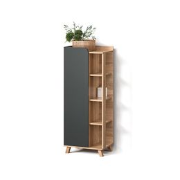 MIDISCHRANK Marano Anthrazit 50 x 128 cm mit T&uuml;r und offenen F&auml;chern