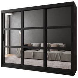 SCHWEBET&Uuml;RENSCHRANK 200/250/62 3-t&uuml;rig