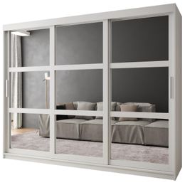 SCHWEBET&Uuml;RENSCHRANK 200/250/62 3-t&uuml;rig
