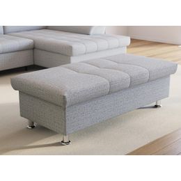Hocker DOMO collection "FRANZI, elegant, komfortabel", silber, B:136cm H:43cm T:64cm, 90% Polyester, 10% Acryl, Hocker, Hocker mit Stauraum Polsterhocker, inklusive Stauraum