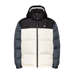 Tommy Jeans Jas Winter Alaska Pufferjacke Multicolor
