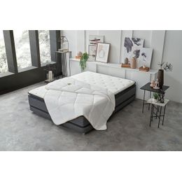 Kunstfaserbettdecke Yatas Bedding "Dacron Climarelle, Bettdecke 135x200 cm & weitere Gr&ouml;&szlig;en", wei&szlig;, B:200cm L:200cm, Bezug: 100% Baumwolle. F&uuml;llung: 100% Polyester, Bettdecken, Sommer, Herbst, allergiker geeignet (Hausstauballergiker)