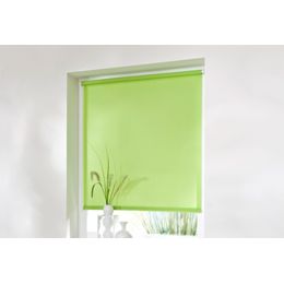 Seitenzugrollo K-home "Thermo Klemmfix-Rollo" Gr. 4, gr&uuml;n (apfelgr&uuml;n), B:70cm H:150cm, Polyester, Rollos, Seitenzugrollo, 1 St&uuml;ck