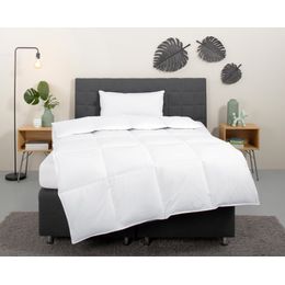 Daunenbettdecke + Kopfkissen OTTO HOME "Cyra Set, Bettdecke 135x200 & 155x220 cm mit Kissen 80x80 cm", wei&szlig;, B/L: 135cm x 200cm Anzahl Teile 1, B/L: 40cm x 80cm Anzahl Teile 1, Bezug: Baumwolle F&uuml;llung: Entendaune/-feder, warm, Bettdecken Bezug: 100% Baumwolle. Kopfkissen Bezug: 100% Baumwolle. Bettdecken F&uuml;llung: 70% Entendaune, 30% Entenfeder. Kopfkissen F&uuml;llung: 90% Entenfeder, 10% Entendaune, 