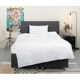 Daunenbettdecke + Kopfkissen OTTO HOME "Cyra Set, Bettdecke 135x200 & 155x220 cm mit Kissen 80x80 cm", wei&szlig;, B/L: 135cm x 200cm Anzahl Teile 1, B/L: 80cm x 80cm Anzahl Teile 1, Bezug: Baumwolle F&uuml;llung: Entendaune/-feder, leicht, Bettdecken Bezug: 100% Baumwolle. Kopfkissen Bezug: 100% Baumwolle. Bettdecken F&uuml;llung: 70% Entendaune, 30% Entenfeder. Kopfkissen F&uuml;llung: 90% Entenfeder, 10% Entendaune