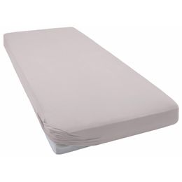 Spannbettlaken Estella "Samt Velours Spannbetttuch", grau (platinfarben), L:200cm, Frottee, Obermaterial: 80% Baumwolle, 20% Polyester, Bettlaken, Spannbettlaken, Rundumgummi
