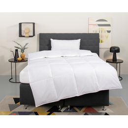 Daunenbettdecke + Kopfkissen OTTO HOME "Cyra Set, Bettdecke 135x200 & 155x220 cm mit Kissen 80x80 cm", wei&szlig;, B/L: 135cm x 200cm Anzahl Teile 1, B/L: 40cm x 80cm Anzahl Teile 1, Bezug: Baumwolle F&uuml;llung: Entendaune/-feder, normal, Bettdecken Bezug: 100% Baumwolle. Kopfkissen Bezug: 100% Baumwolle. Bettdecken F&uuml;llung: 70% Entendaune, 30% Entenfeder. Kopfkissen F&uuml;llung: 90% Entenfeder, 10% Entendaune