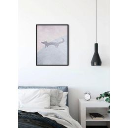 Bild Komar "Wild and Free Fox", bunt (farbe bild(er): bunt), B:50cm H:70cm, Holz, Papier, Bilder, Bild, Wandbild zur Dekoration - ohne Rahmen