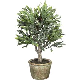 Kunstpflanze Creativ green "Olive", gr&uuml;n, H:70cm, Kunststoff, Kunstpflanzen, Kunstpflanze, mit detailgetreuer Gestaltung
