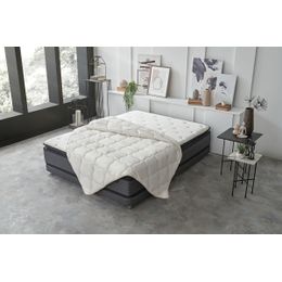 Naturhaarbettdecke Yatas Bedding "Superwashed Wolle, Bettdecke 135x200, 200x200 cm & weitere Gr&ouml;&szlig;en", beige, B:135cm L:200cm, Bezug: 100% Baumwolle. F&uuml;llung: 100% Wolle, Bettdecken, Sommer, Herbst, allergiker geeignet (Hausstauballergiker)