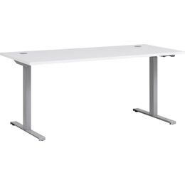 Schreibtisch Schildmeyer "Serie 1600", wei&szlig; (kreidewei&szlig;, silber, kreidewei&szlig;), B:160cm H:70,5cm T:75cm, Tische, Schreibtisch