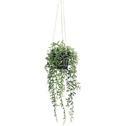 Kunstpflanze Creativ green "H&auml;ngepflanze Senecio Herreianus", gr&uuml;n, H:55cm, Kunstpflanzen, Kunstpflanze, mit sch&ouml;nen H&auml;ngezweigen