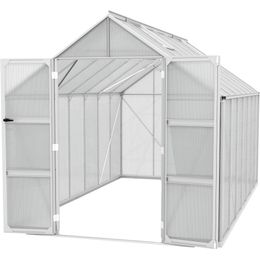 Gew&auml;chshaus Vitavia "Domus 11500", silber (silberfarben), B:257cm H:253,9cm T:449cm, Gew&auml;chsh&auml;user, mit Doppelschwingt&uuml;ren und bodentiefer T&uuml;rschwelle, 6 mm Hohlkammer