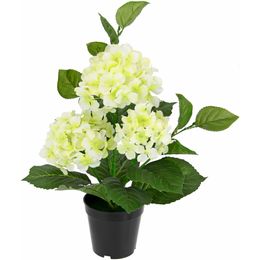 Kunstblume I.GE.A. "Hortensien", wei&szlig;, B:35cm H:50cm L:35cm, Polyester, Kunstpflanzen, K&uuml;nstliche Hortensie im Topf Blume Hortensienbusch k&uuml;nstlich Pflanze
