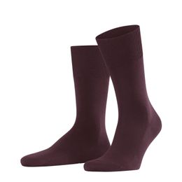 Socken Falke "ClimaWool", Herren, Gr. 39-40, rot (barolo), Materialmix, unifarben, Socken Socken, aus klimaregulierender Wolle-Lyocell Mischung atmungsaktiv