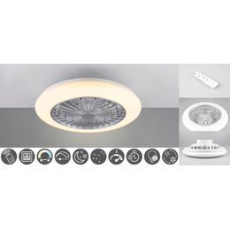 REALITY LEUCHTEN LED Deckenleuchte "Stralsund Deckenventilator", wei&szlig; (titanfarbig wei&szlig;), 1, &Oslash; 50cm H: 16,8cm, 1 Stk., Leuchten, Deckenlampe, Ventilator, Fernbedienung, Ventilator getrennt schaltbar, LED Deckenleuchte