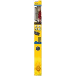 Insektenschutz-T&uuml;r Schellenberg "Premium, Fliegengitter f&uuml;r Balkont&uuml;ren und Terrassent&uuml;ren", grau (rahmen: grau gewebe: anthrazit), B:100cm H:215cm, Insektenschutzgitter, mit Aluminiumrahmen, 100 x 215 cm, anthrazit und wei&szlig;