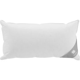 3-Kammer-Kopfkissen Musterring "Dreamz", wei&szlig;, B:40cm L:80cm, Bezug: 100% Baumwolle. F&uuml;llung Au&szlig;enkammer: 90% Daunen, 10% Federn. F&uuml;llung Innenkammer: 100% Federn, Kopfkissen, in den Gr&ouml;&szlig;en 40 x 80 cm und 80 x 80 cm erh&auml;ltlich.