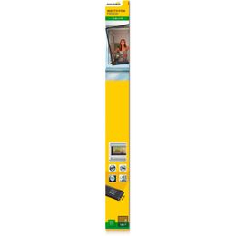 Insektenschutz-Fensterrahmen Schellenberg "Fliegengitter Fenster Premium", grau (rahmen: grau gewebe: anthrazit), B:140cm H:150cm, Insektenschutzgitter, mit Rahmen aus Aluminium in anthrazit und wei&szlig;, 140 x 150 cm