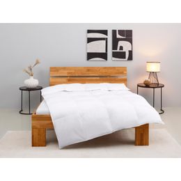 Kunstfaserbettdecke OTTO HOME "Taylore, Bettdecke 135x200, 155x220 cm", wei&szlig;, B:155cm L:220cm, Bezug: 100% Baumwolle. F&uuml;llung: 100% Polyester, Bettdecken, Bettdecken, Sommer, Winter, 4 Jahreszeiten, Decke