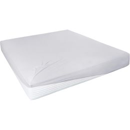 Spannbettlaken Primera "Elasthan-Feinjersey", grau (hellgrau), 1 Stk., Jersey-Elasthan, 140-160x200-220 28cm, Jersey-Elasthan, Obermaterial: 95% Baumwolle, 5% Elasthan, Bettlaken, Spannbettlaken, PREMIUM, aus 95% gek&auml;mmter Baumwolle und 5% Elasthan, bis 28 cm H&ouml;he
