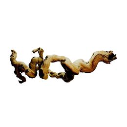 LUCKY REPTILE Premium Rebholz L 50-80cm