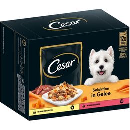 CESAR Selektion Gelee Hunde-Nassfutter Huhn, Rind, Gem&uuml;se 12x100g