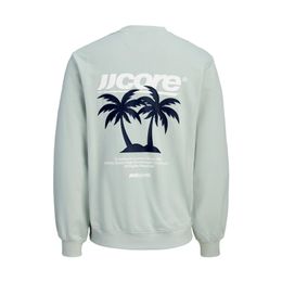 Jack & Jones Jack & Jones Junior Pullover CLUB SUMMER Sweatshirt