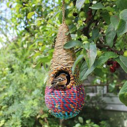 Artisan Vogelnest, Tropfenform