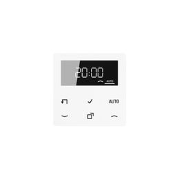 Jung Timer Standard, Display Echtglasfront A 1750 D WW (A1750DWW)
