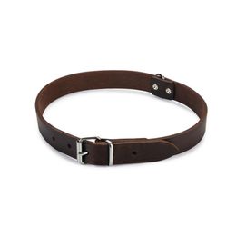 Beeztees Hundehalsband Leder braun 70 x 2,5 cm