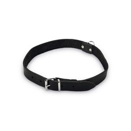 Beeztees Hundehalsband Leder schwarz 70 x 2,5 cm
