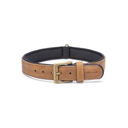 Beeztees Hundehalsband 'Balacron AX' Kunstleder braun 52-62 x 3 cm