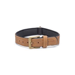 Beeztees Hundehalsband 'Balacron AX' Kunstleder braun 47-57 x 3 cm