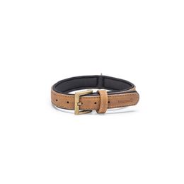 Beeztees Hundehalsband 'Balacron AX' Kunstleder braun 36-44 x 2 cm