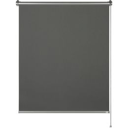 Sch&ouml;ner Wohnen Kollektion Seitenzugrollo "Thermorollo Martha", grau (anthrazit), B:60cm H:150cm, Polyester, SCH&Ouml;NER WOHNEN-KOLLEKTION, Rollos, Seitenzugrollo, Sch&ouml;ner Wohnen Rollo, geklebt