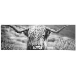 Poster Reinders "Highlander Bulle Tiermotiv - Nahaufnahme - Hochlandrind Bild", schwarz (farbe bild(er): schwarz, wei&szlig;), B:158cm H:53cm, Papier, Bilder, Poster