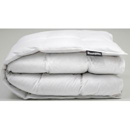 G&auml;nsedaunenbettdecke Dunlopillo "Dunlopillo Supreme Deluxe, "NEUHEIT" in Gr&ouml;&szlig;e 135x220 & 155 220 cm", wei&szlig;, B:155cm L:220cm, Bezug: 100% Baumwolle. F&uuml;llung: 90% G&auml;nsedaunen, 10% G&auml;nsefeder, Bettdecken, Hergestellt in Deutschland & Downpass zertifiziert, NOMITE