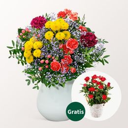 Blumenstrau&szlig; Bl&uuml;tenfreude