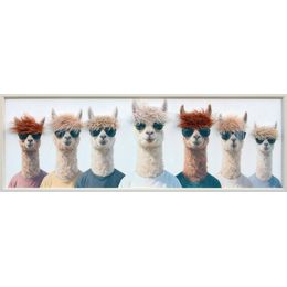 SONSTIGE Leinwandbild BOYBAND THE LAMA