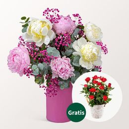 Pfingstrosen-Strau&szlig; Rosenflair