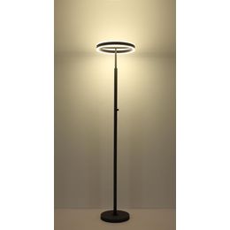 Globo LIGHTING Deckenfluter "EMANUEL", anthrazit, 1, &Oslash; 40cm H: 181cm, 1 Stk., Leuchten, LED Deckenfluter anthrazit, 4000K, Drehdimmer, starkes Licht, Deckenfluter