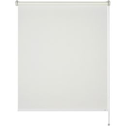 Sch&ouml;ner Wohnen Kollektion Seitenzugrollo "Tageslichtrollo Tizia", wei&szlig;, B:45cm H:150cm, Polyester, SCH&Ouml;NER WOHNEN-KOLLEKTION, Rollos, Seitenzugrollo, geklebt, geklemmt, silberne oder wei&szlig;e Rollo-Technik