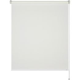 Sch&ouml;ner Wohnen Kollektion Seitenzugrollo "Tageslichtrollo Tizia", wei&szlig;, B:75cm H:150cm, Polyester, SCH&Ouml;NER WOHNEN-KOLLEKTION, Rollos, Seitenzugrollo, geklebt, geklemmt, silberne oder wei&szlig;e Rollo-Technik