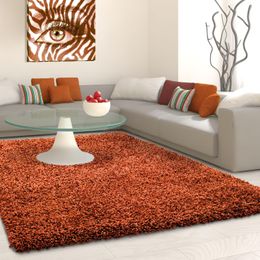 Hochflor-Teppich Ayyildiz Teppiche "Life Shaggy 1500", orange (terra), B:120cm H:30mm L:170cm, Kunstfaser, Teppiche, Langflor, uni, gro&szlig;e Farbauswahl, robust, auch als L&auml;ufer und in rund