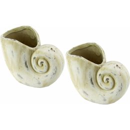&Uuml;bertopf I.GE.A. "Pflanzgef&auml;&szlig; Muschel", beige (natur), B:19cm H:17cm T:12cm, Keramik, Pflanzgef&auml;&szlig;e